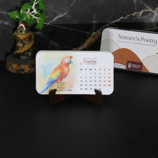 BOX FOREST CALENDAR (PLANTABLE)